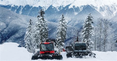 집 밖의 감기 겨울 겨울 장면 겨울 풍경 경치 경치가 좋은 광야 기계 나무 냉랭한 눈 눈 내리는 눈 덮인 나무 눈 덮인 지형 눈 덮힌 땅 눈