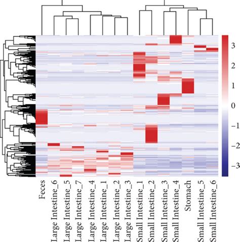 The Comparison Of Microbial Diversity At Different Locations Of The Gi