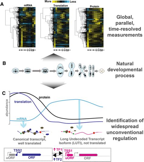 Integrated Analysis Of Parallel Genome Wide Measurements Through Download Scientific Diagram