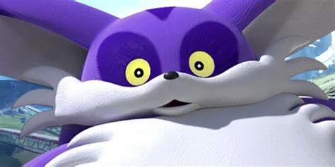 Sonic As A Cat