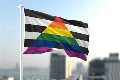 Ally Flag Hampshire Flag Company