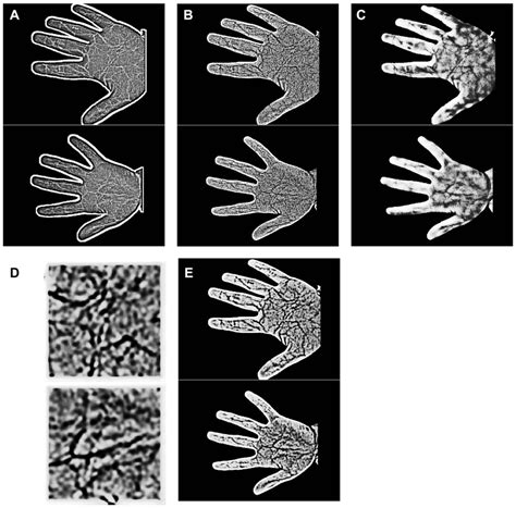 examples of five preprocessing methods a weber illumination