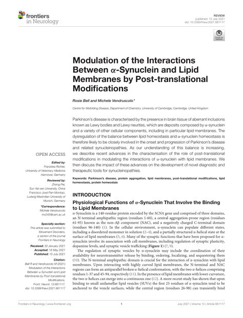 Pdf Modulation Of The Interactions Between α Synuclein And Lipid