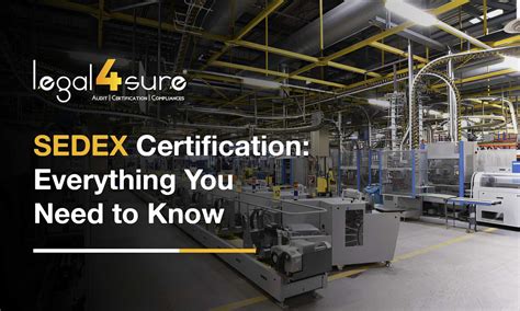 Sedex Certification Everything You Need To Know Legal4sure Sedex Certification Everything You Need To Know Legal4sure
