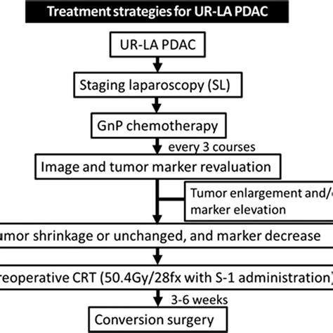 Schema Of Our Treatment Strategies For Ur‐la Pdac Download Scientific Diagram