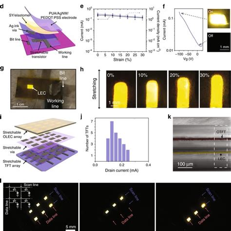 Fully Stretchable Amolec Array A Schematic Of The Stretchable Download Scientific Diagram
