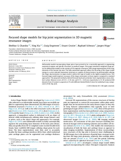 Pdf Focused Shape Models For Hip Joint Segmentation In 3d Magnetic