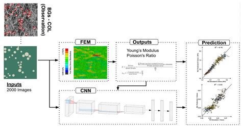 Finite Element Based Machine Learning Model For Predicting The