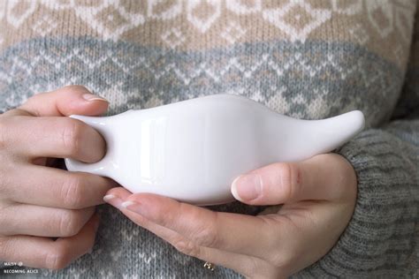 How And Why To Use A Neti Pot Homestead Herbs And Healing Holistic Living
