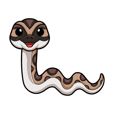 Premium Vector Cute Python Molurus Bivittatus Cartoon