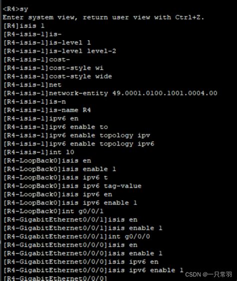 Ipv4ipv6双栈综合实验ipv6双栈配置实验 Csdn博客