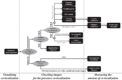 Overlap Coefficient Semantic Scholar