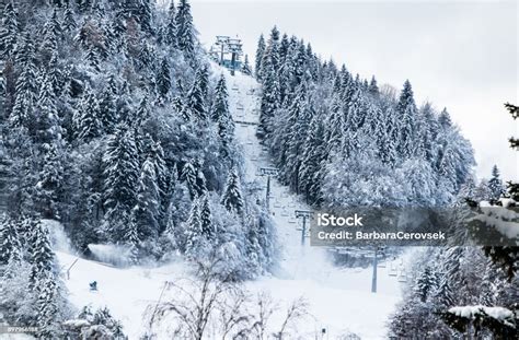 줄리안 알프스 라 니스 카고 라 슬로베니아 겨울 풍경에 슬로프 스키에 케이블 스키 리프트 Championship에 대한 스톡 사진 및 기타 이미지 Istock