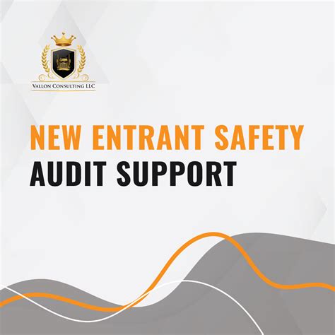 Audit Support — Vallon Consulting