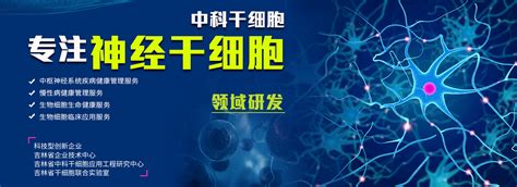 中科干细胞 专注神经干细胞移植治疗公司 杭吉干细胞科技