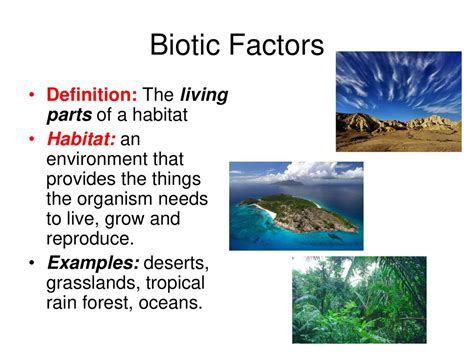 Biotic Factor Definition