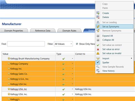 How To Use Sql Server Data Quality Services To Ensure The Correct