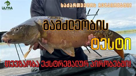 კობრზე თევზაობა კახეთში ტალახი კოღო გაუსაძლისი სიცხე და ბევრი თევზი Youtube
