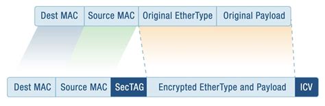 What Is MACsec And Why Is It Important DEV Community
