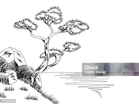 소나무 바다 해안 그래픽 블랙 화이트 풍경 스케치 일러스트 소나무 침엽수에 대한 스톡 벡터 아트 및 기타 이미지 소나무