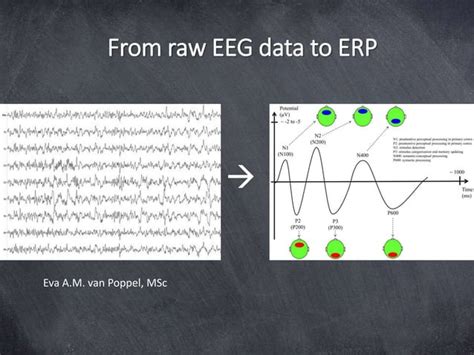 Analysing Eeg Data Using Matlab Ppt