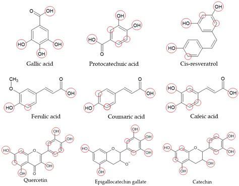 Polysaccharide Structure Amylose Molecule It Is A Polysaccharide