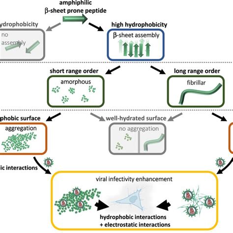 Multiple Parameter Analysis To Evaluate Property Activity Relationship Download Scientific