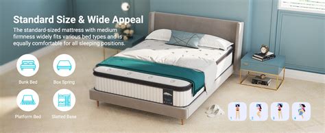 Serweet 14 Inch Memory Foam Hybrid Queen Mattress Heavier Coils For