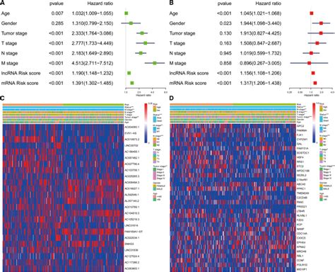 Comprehensive Analysis Of N6 Methylandenosine Regulators And M6a