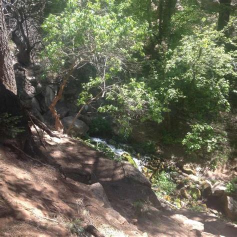 Horton Creek Trail Hiking Trail Maps Difficulty Trail Status Onx