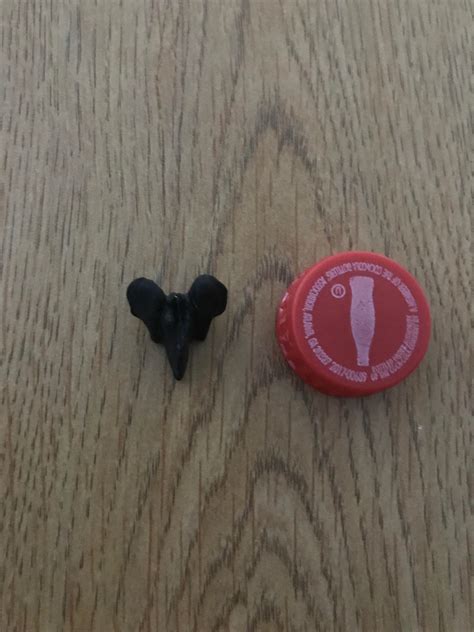 Vertebrae R Fossilid