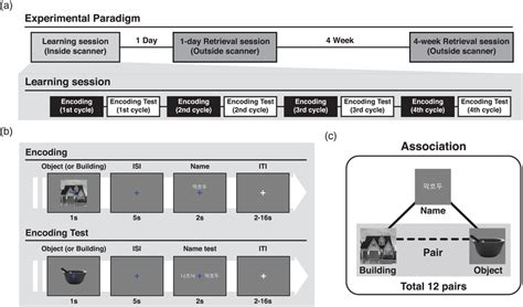 Experimental Procedures A Participants Completed An Associative Download Scientific Diagram