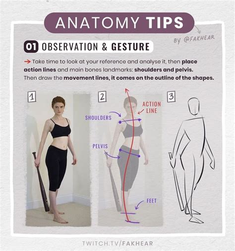 How To Draw Anatomy In Four Steps By How To Art