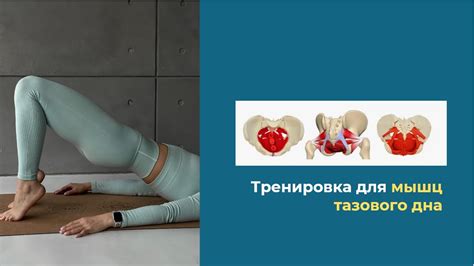 Тренировка для мышц тазового дна Youtube