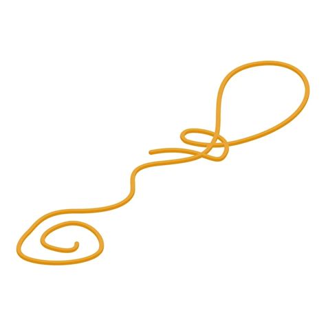 Premium Vector String Lasso Icon Isometric Of String Lasso Vector
