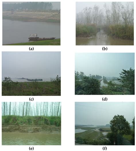 Remote Sensing Free Full Text Analyzing Water Dynamics Based On Sentinel 1 Time Series—a