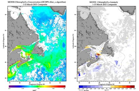 Modis Composite Image Of Surface Chlorophyll A Left And Chlorophyll A