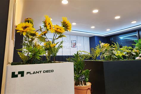 플랜트박스ㆍ마라탕 맞춤 식물장식 인조조화 제작 큐브디자인