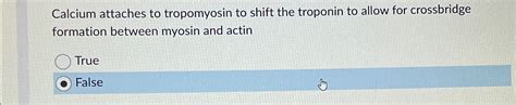 Solved Calcium Attaches To Tropomyosin To Shift The Troponin