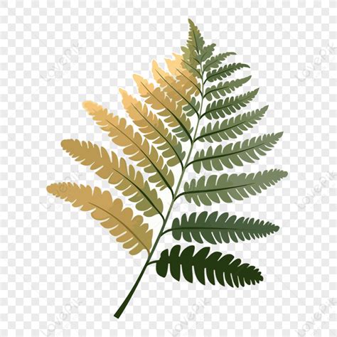 고사리 잎클립 아트상표만화 Png 일러스트 무료 다운로드 Lovepik