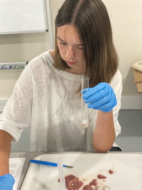 Nerd Lab 🧪 Last Saturday At Nerd Lab 🧪 Last Saturday