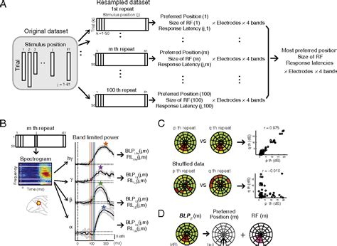 Figure 2 From Frequency Dependent Spatiotemporal Profiles Of Visual Responses Recorded With