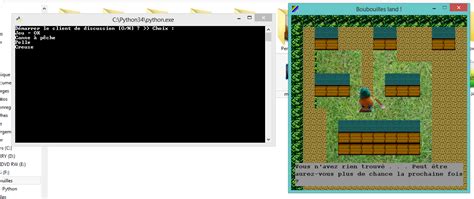 Résolu Jeu 2D PyGame Animal Crossing Like Boubouilles Land