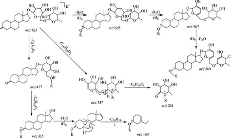 Proposed Fragmentation Pathways For Compound 22 Download Scientific