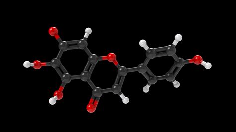Flavonoid Structure 3d Turbosquid 2210474