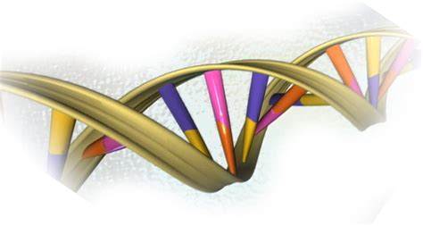 What Is Biophysics The Biophysical Society