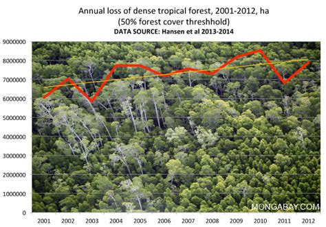 Worldwide Deforestation Rates