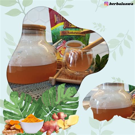 Pertanian Jahe Produk Minuman Kesehatan Jahe Merah Herbal Azwa Adalah