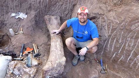 New Dinosaur Species Was Discovered By Paleontologists Named The Giant