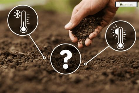 How To Determine Soil Temperature Even Without A Thermometer